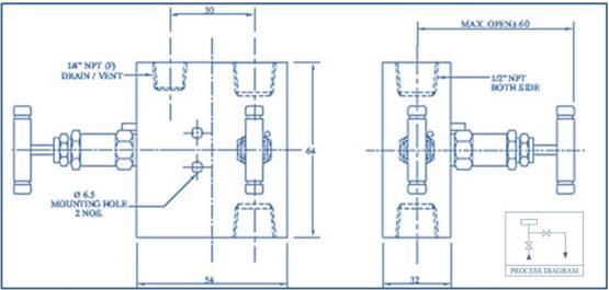 2 Way Manifold Valves - Block and Bleed Valves and Gauge Valves