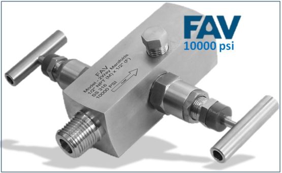 2 Way Manifold Valves - Block and Bleed Valves and Gauge Valves