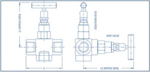 2 Way Manifold Valves - Block and Bleed Valves and Gauge Valves