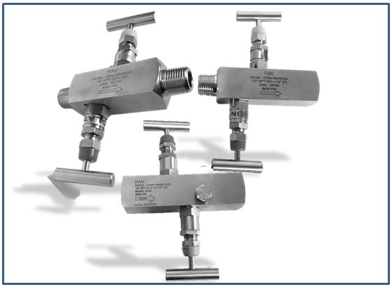 2 Way Manifold Valves - Block and Bleed Valves and Gauge Valves