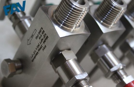 2 Way Manifold Valves - Block and Bleed Valves and Gauge Valves