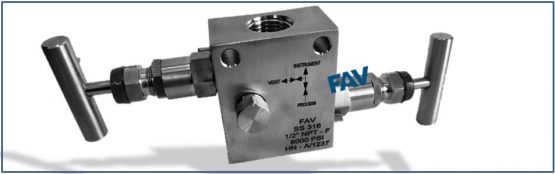 2 Way Manifold Valves - Block and Bleed Valves and Gauge Valves