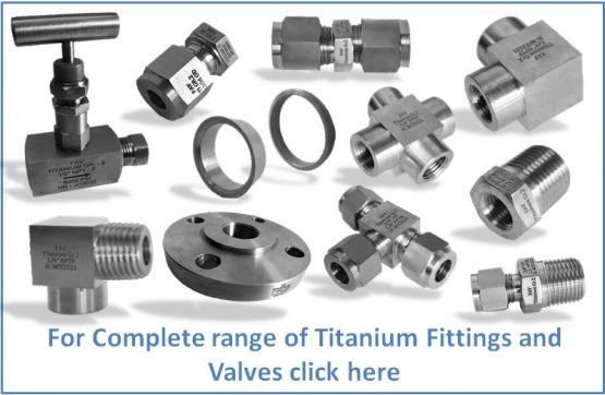 Titanium Plug- Fav Manufacturers and Exporters of Fittings.